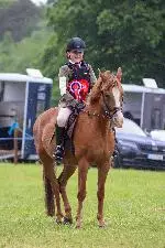 Gallery 2024 - Dundalk Show Society CLG