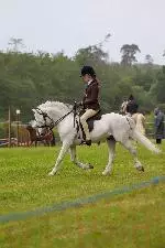 Gallery 2024 - Dundalk Show Society CLG