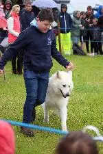 Gallery 2024 - Dundalk Show Society CLG